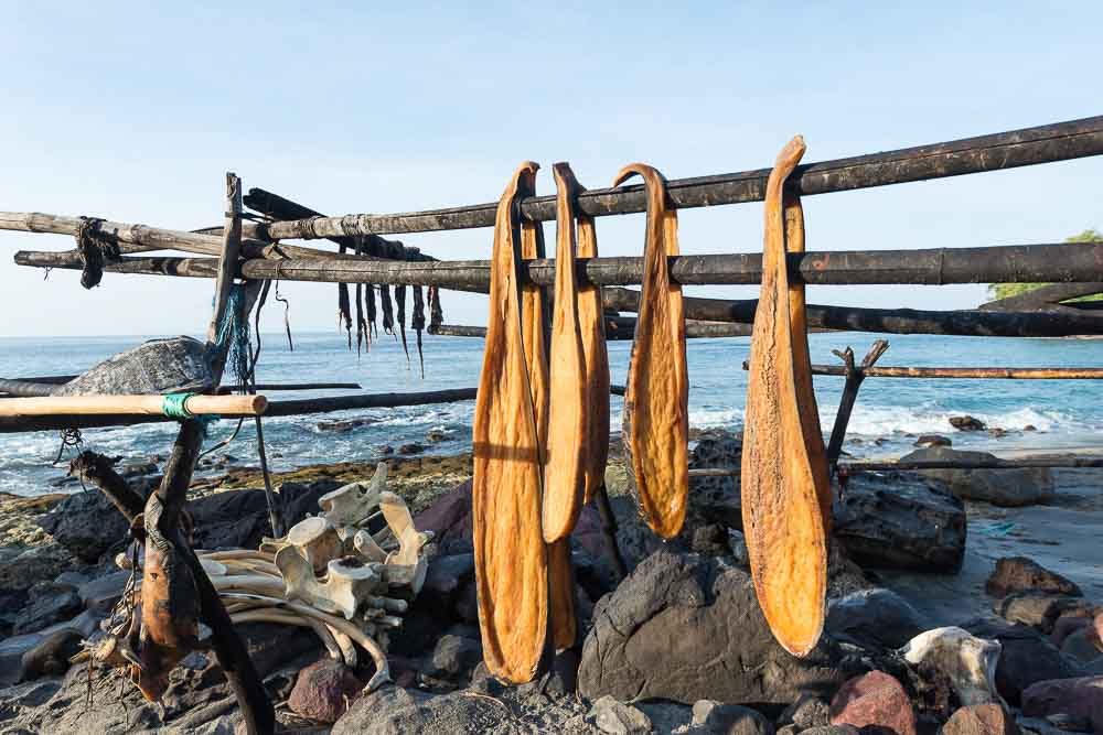 Extended Spice Route | 12-night Spice Islands Itinerary | Indo Yachts