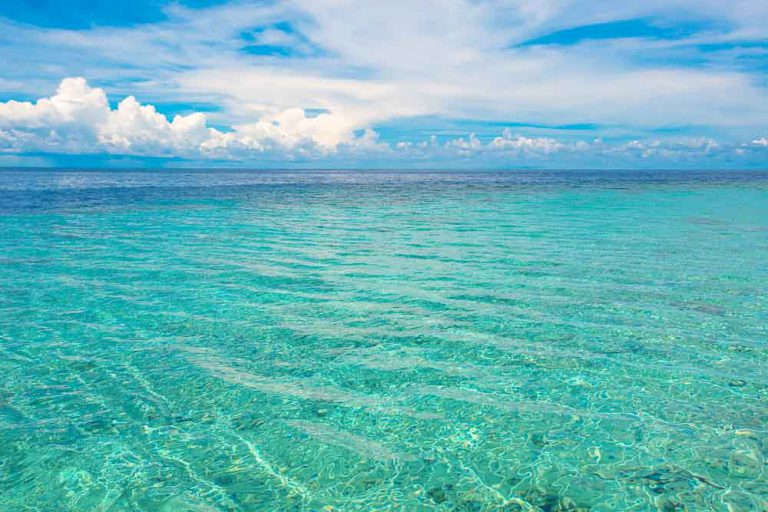 Extended Spice Route | 12-night Spice Islands Itinerary | Indo Yachts