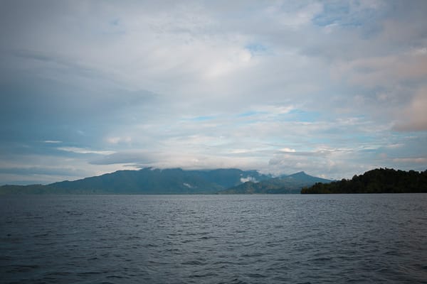 Whale Shark Experience | Cenderawasih Bay Itinerary | Indo Yachts